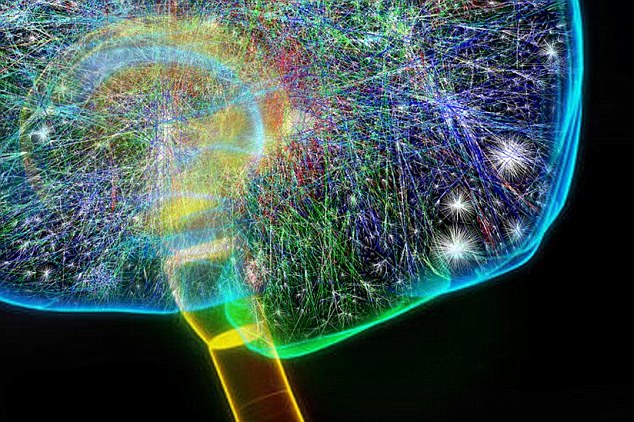 We really DO have the internet on the brain: Researchers find neural ...