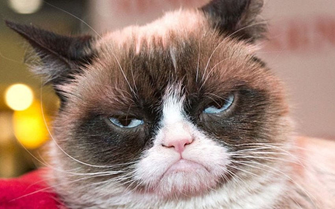 Here Is How Being Bad Tempered and Grumpy Can Actually Be Good for You ...