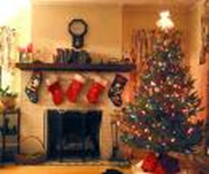 The Christmas Tree – An Ancient Pagan Fertility Symbol – Raw Gist