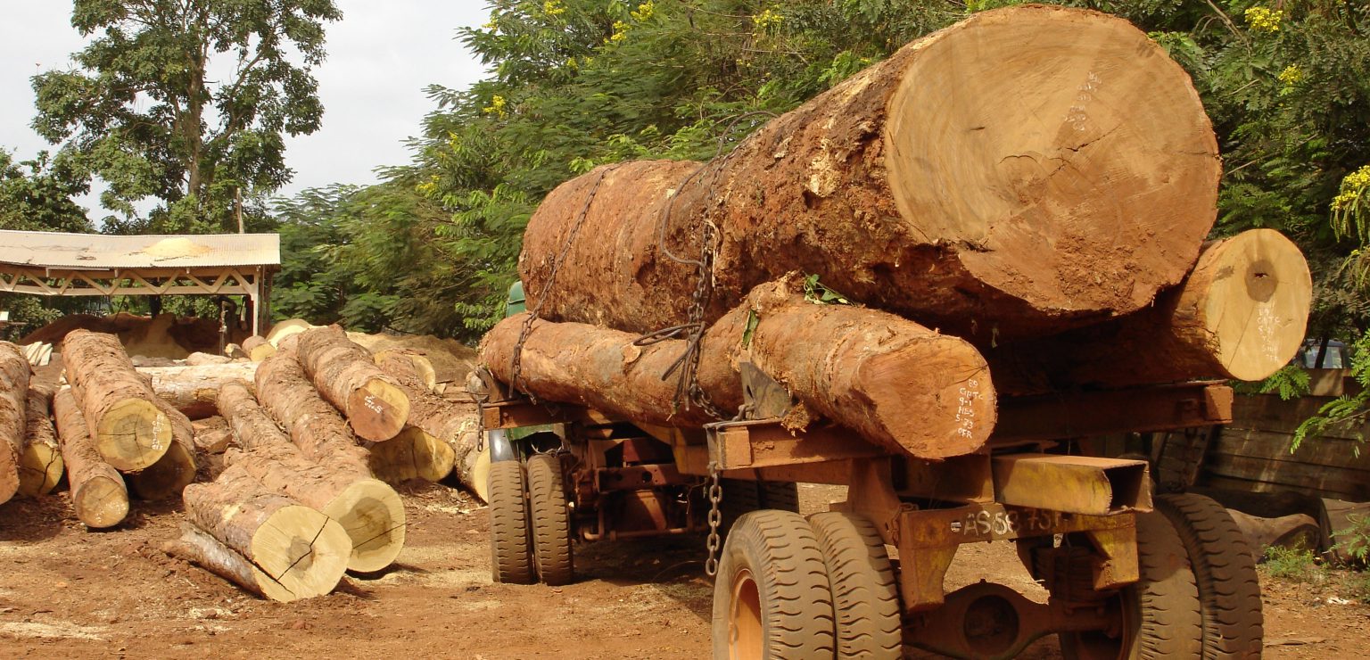 Wood Shortage Looms As 75 Out Of 100 Local Timber Manufacturing ...